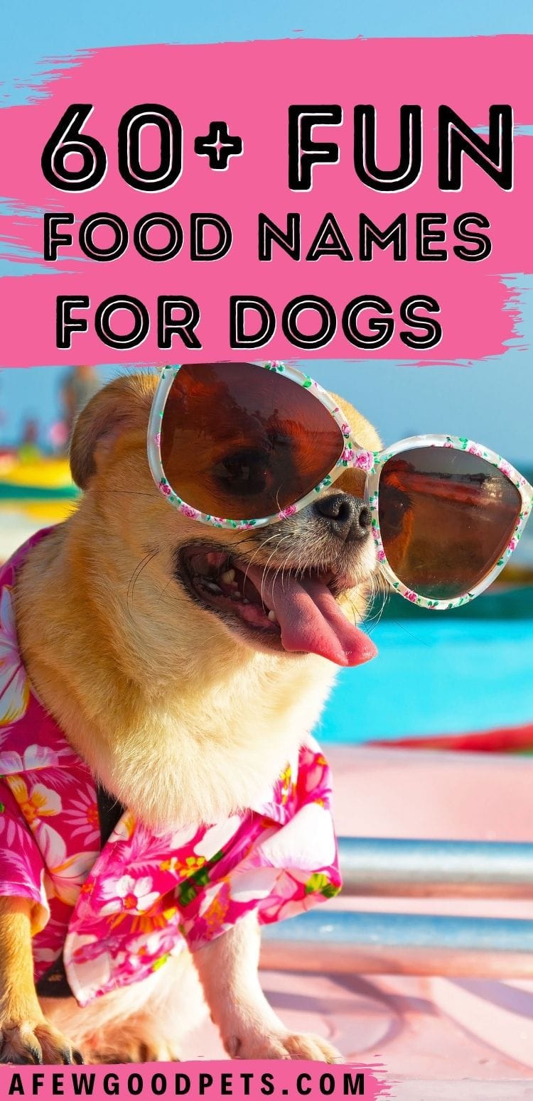 60 Fun Food Names For Dogs A Few Good Pets 60 Fun Food Names For Dogs A Few Good Pets